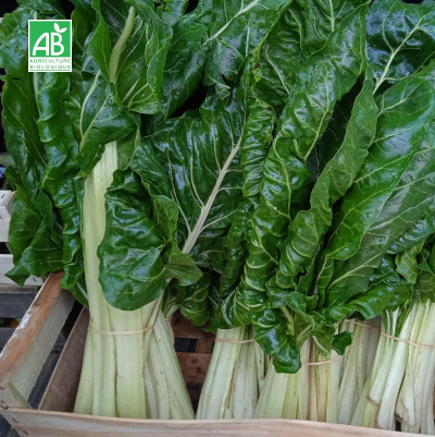 Blettes bio, botte de 500g. – Bio 31