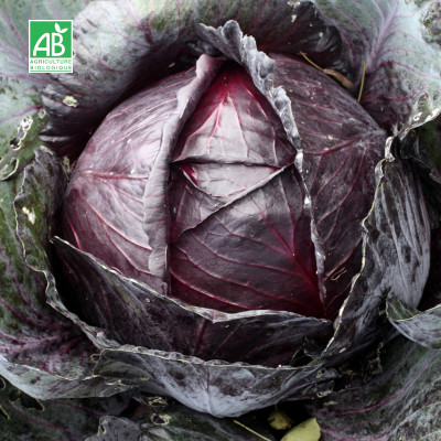 Chou rouge bio, 300g – Bio 31