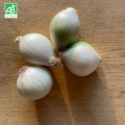 Petits oignons blancs, 100g environ – Bio 31
